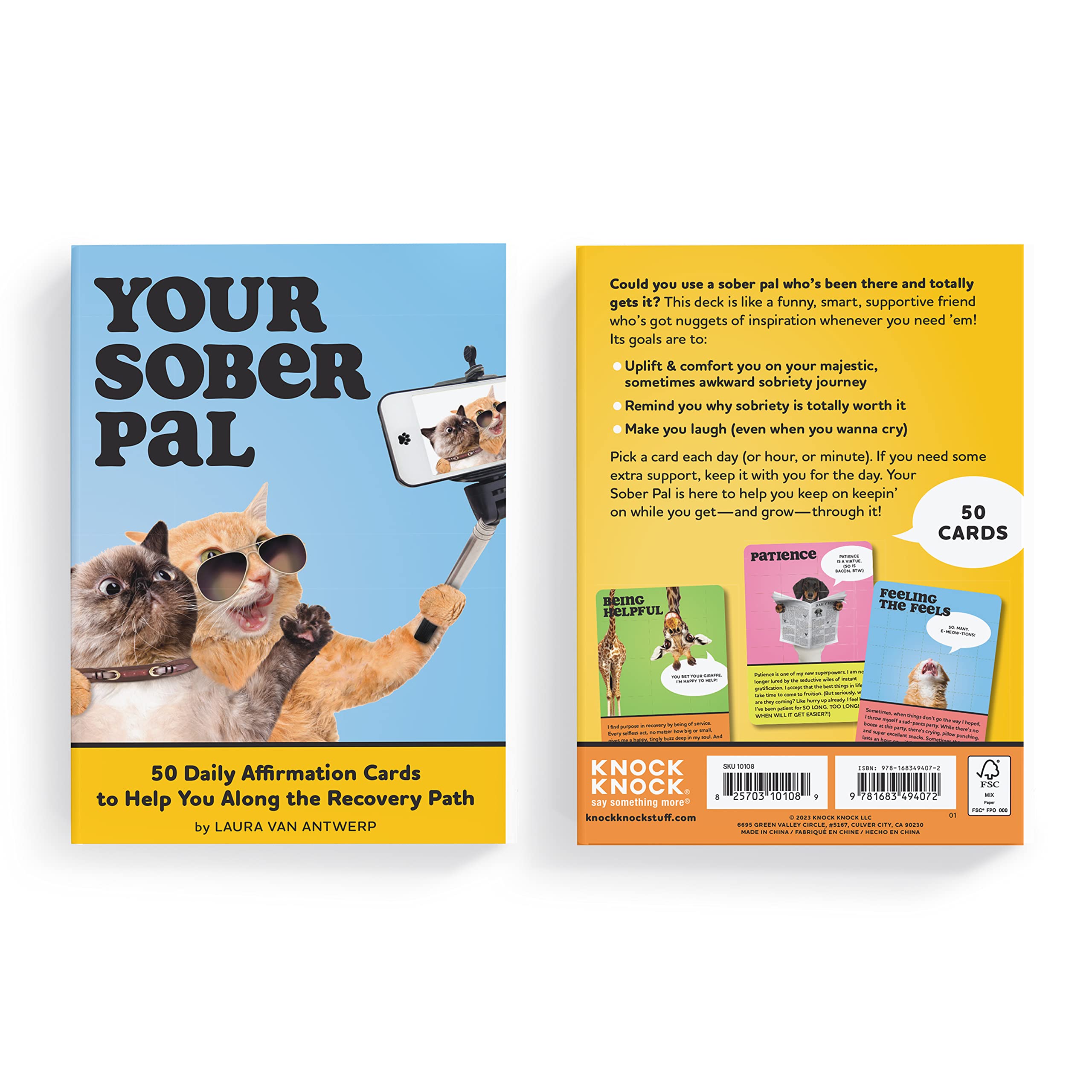 Snapklik.com : Your Sober Pal Sobriety Affirmation Deck: 50 Daily ...