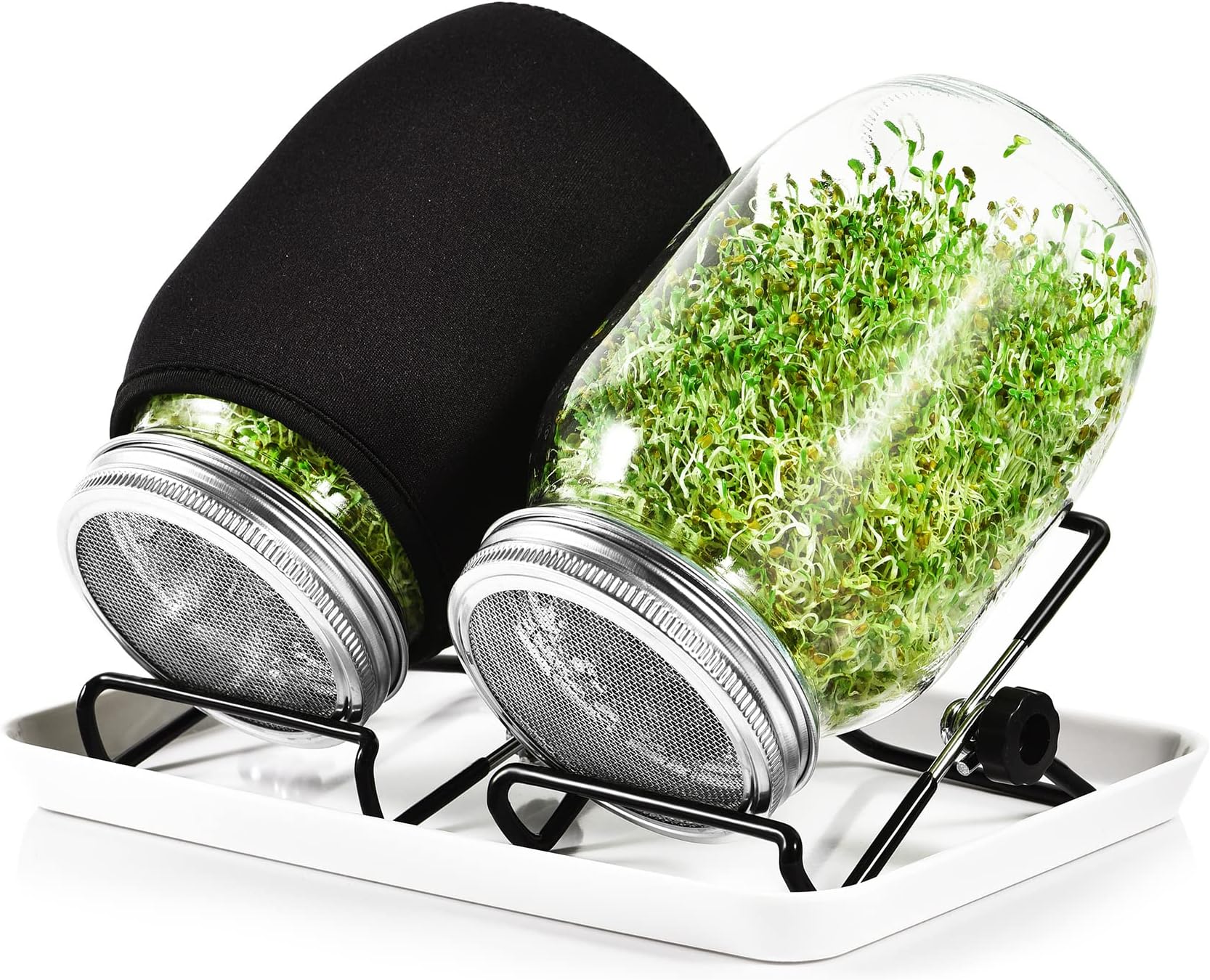 Amazon.com: Sprouting Jar Kit-2 Large Wide Mouth Mason Jars with ...