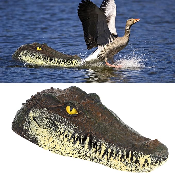 Amazon.com: Pond Floating Fake Alligator Head Crocodile Fake Head for ...