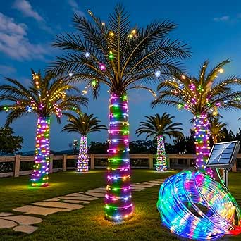 Honche Solar Rope Light 33FT 100LED IP65 Waterproof Outdoor LED Copper ...