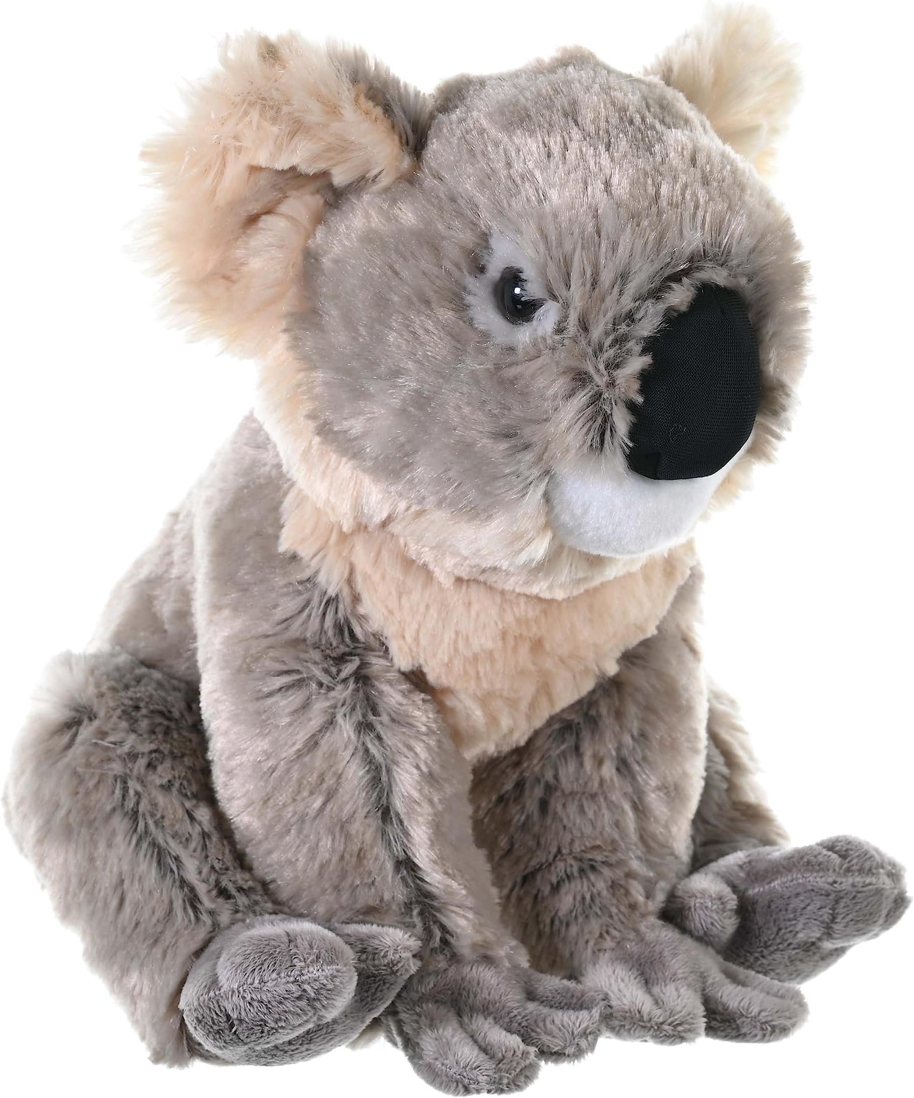 Elka Australia Koondoola Emu Soft Plush Toy, 30 Centimeters : Amazon ...