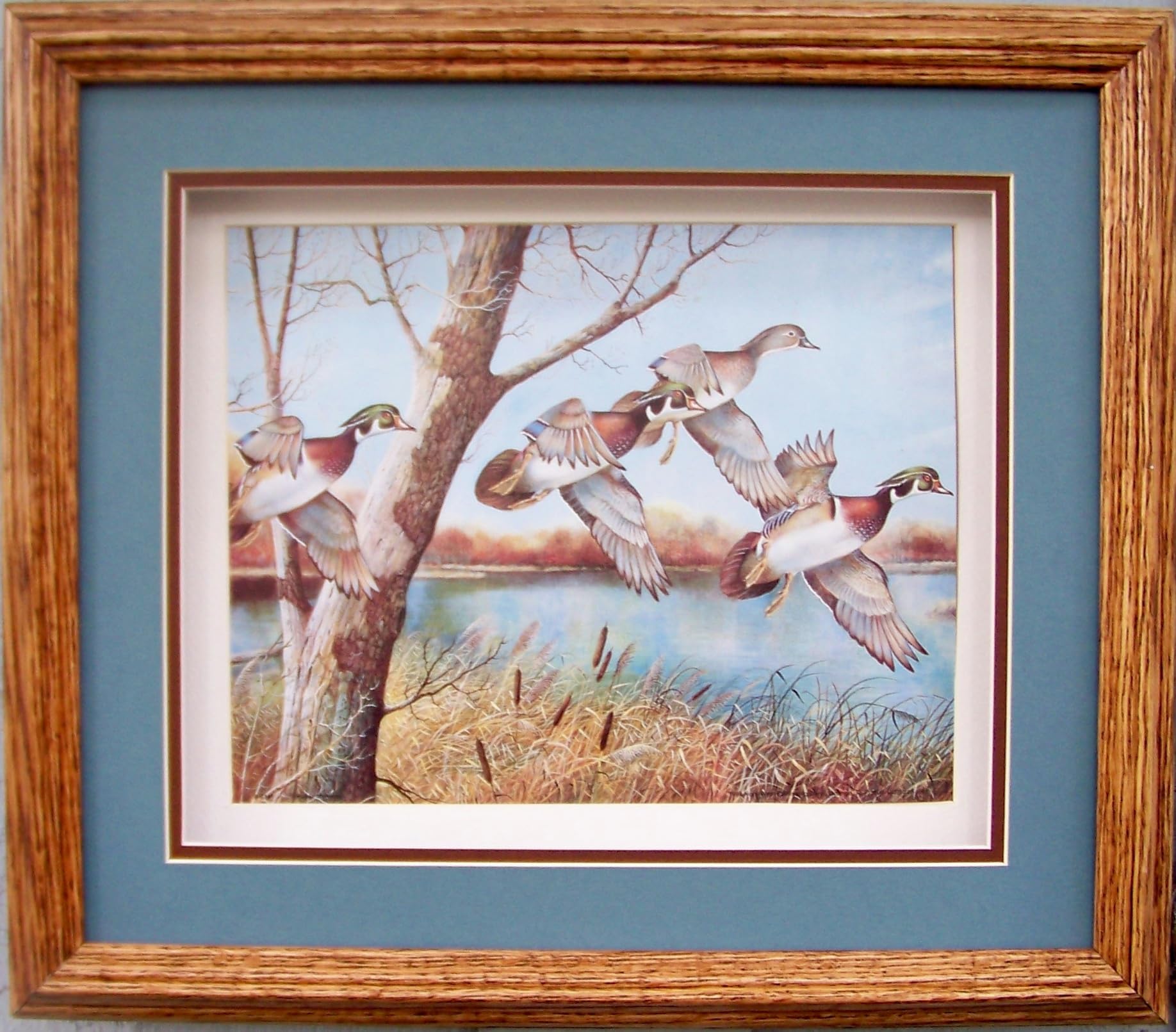Wood Ducks Flying Painting