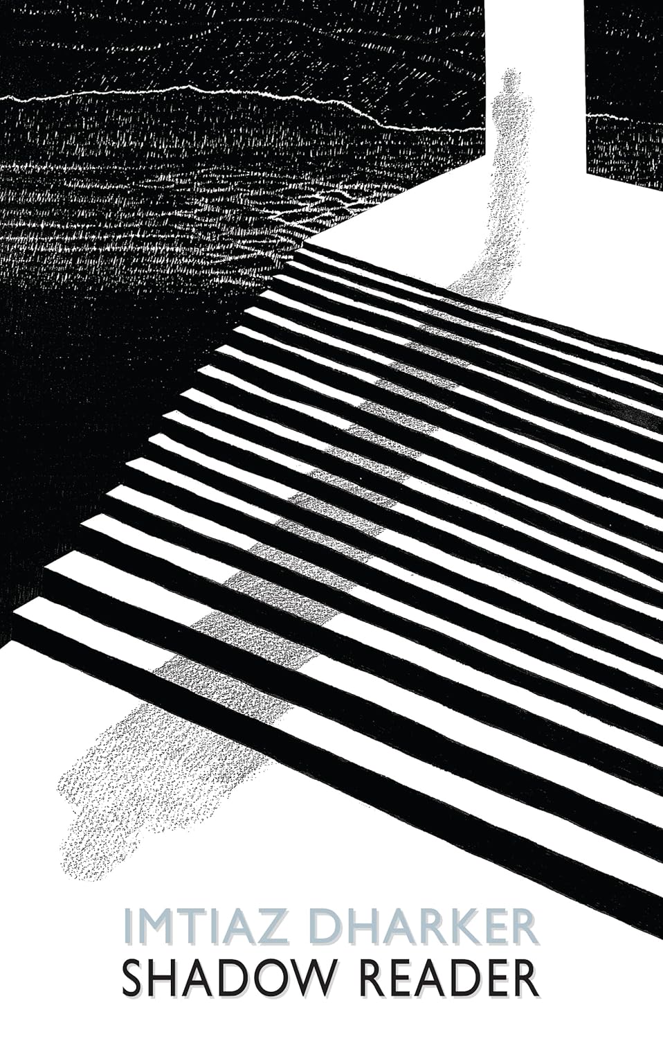 Shadow Reader : Dharker, Imtiaz: Amazon.co.uk: Books