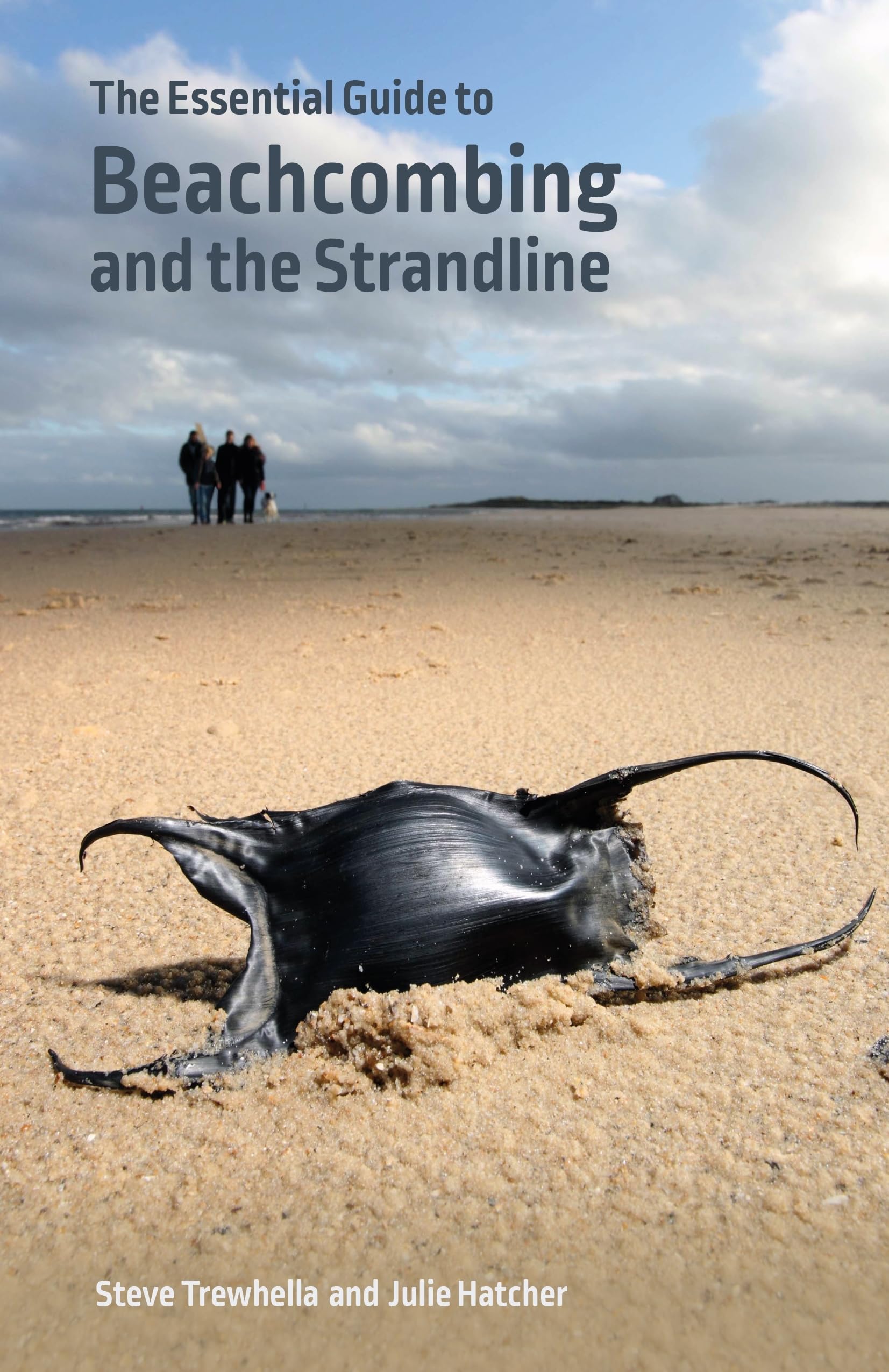 The Essential Guide to Beachcombing and the Strandline (Wild Nature ...