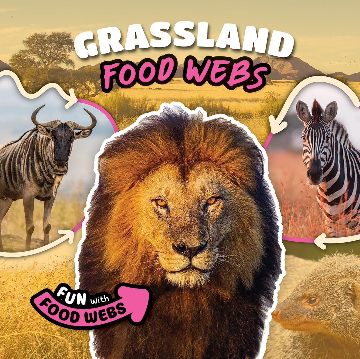 Grassland Food Webs (Fun With Food Webs): Mather, Charis: 9781534546028 ...