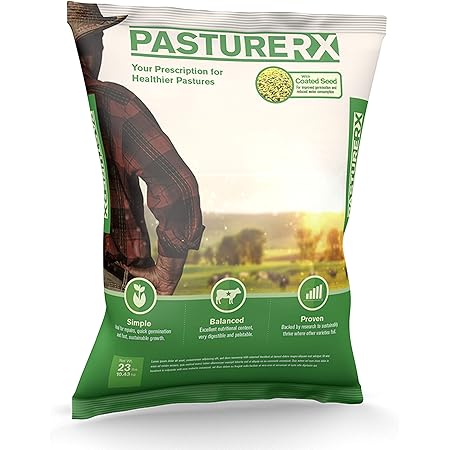 Amazon.com : Horse Pasture Grass Seed Mix in Vintage Burlap 10 lb Bag ...
