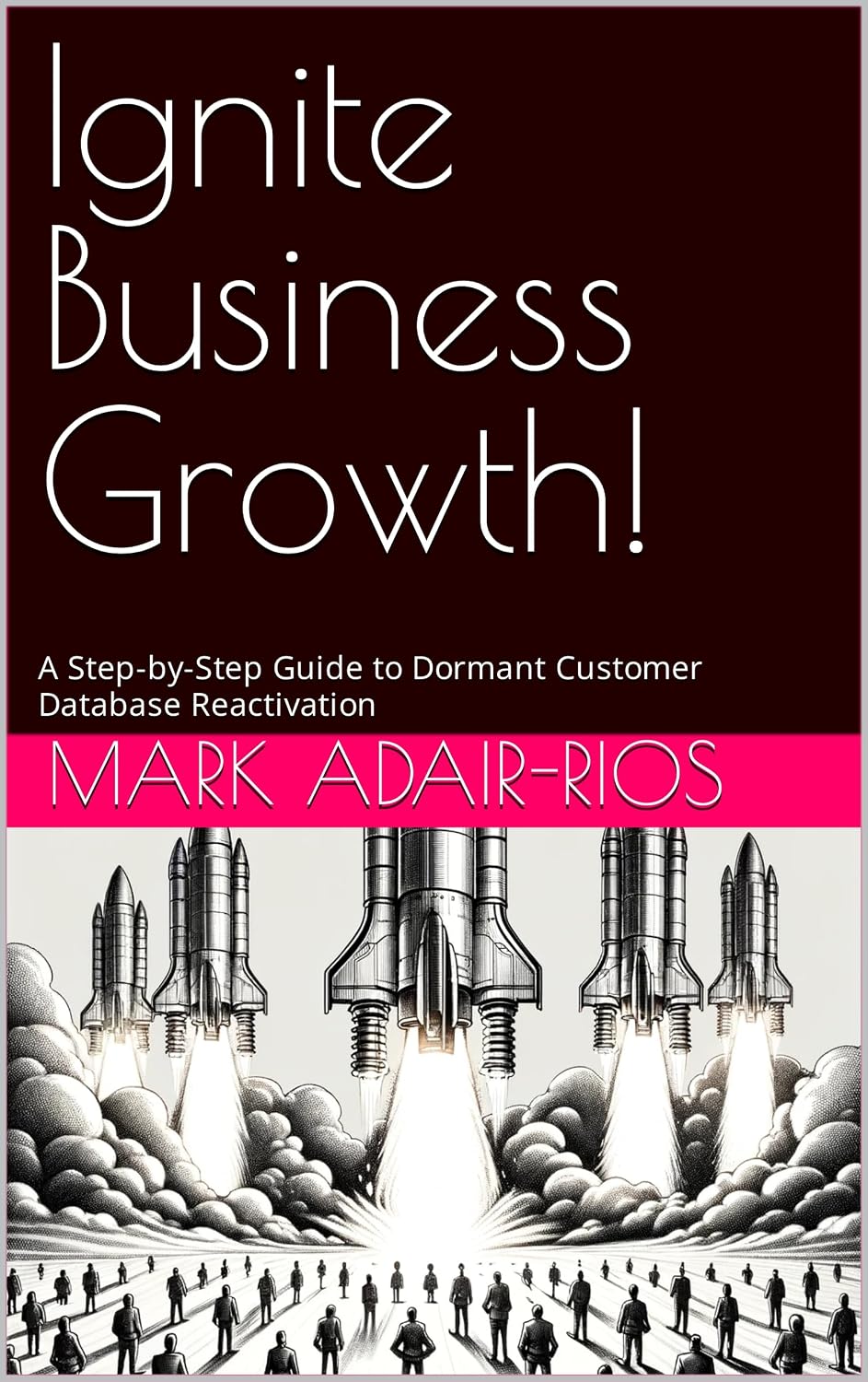 Ignite Business Growth!: A Step-by-Step Guide to Dormant Customer ...