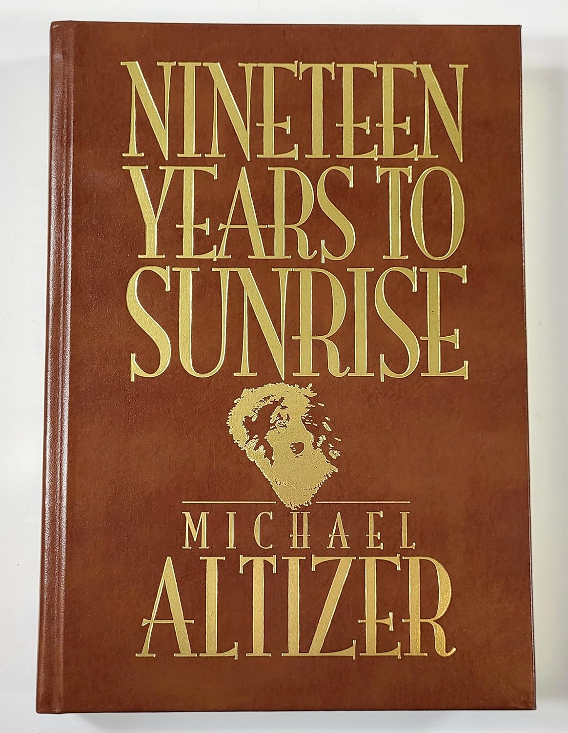 Nineteen Years to Sunrise: Michael Altizer, Robert Matthews ...