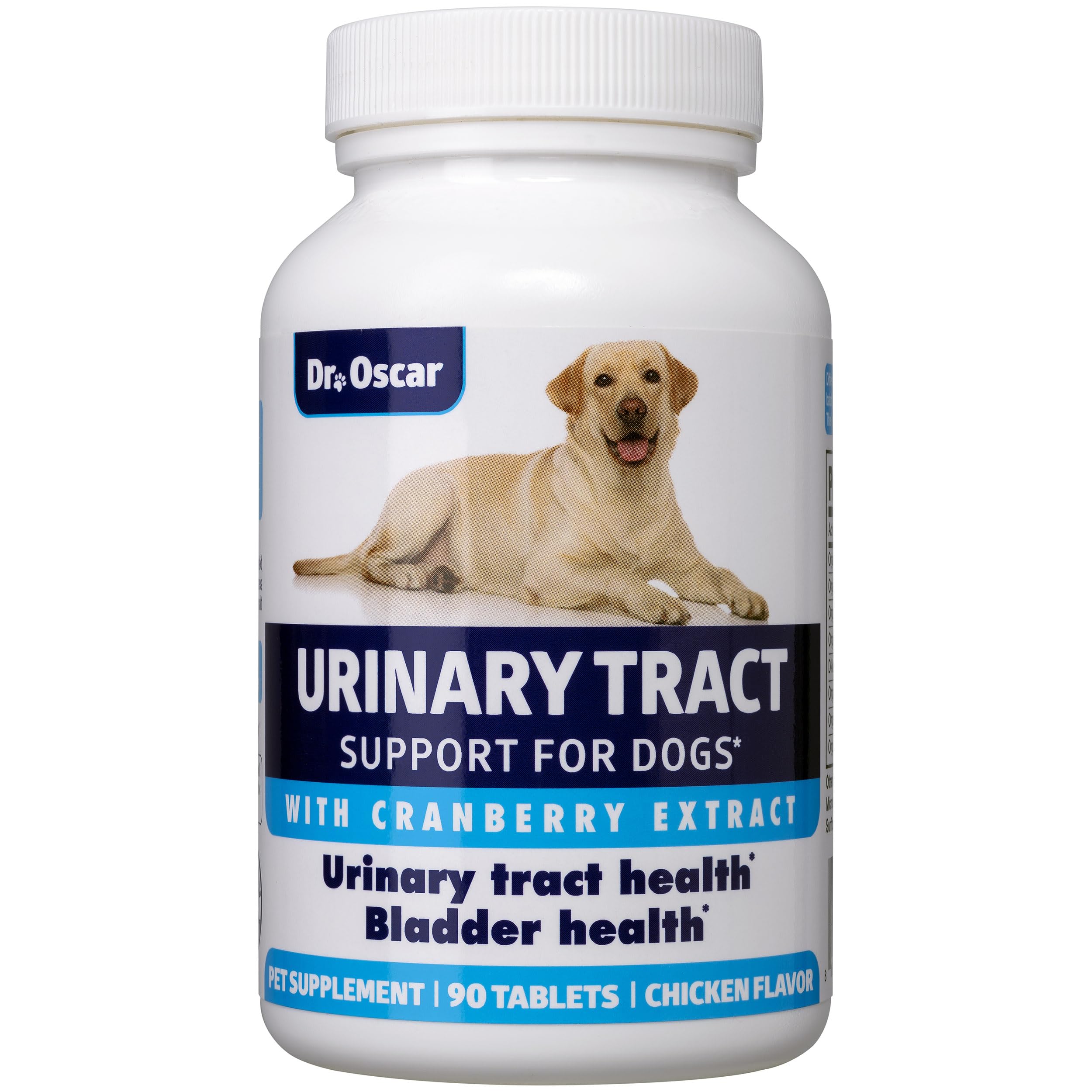 Antibiotics for dog urinary tract infection online