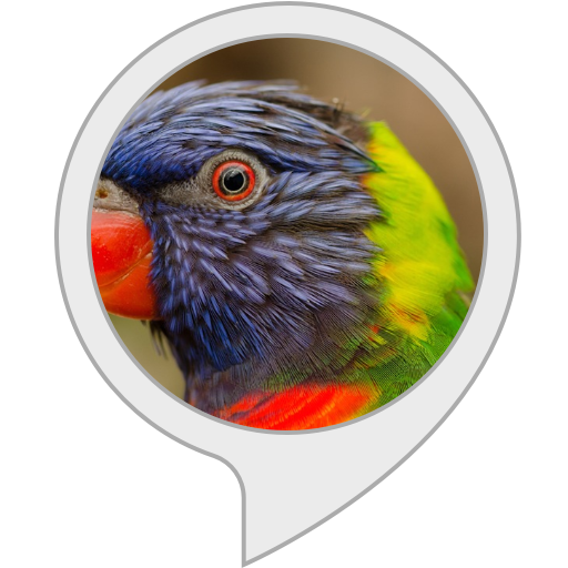 Amazon.com: Bird Facts : Alexa Skills