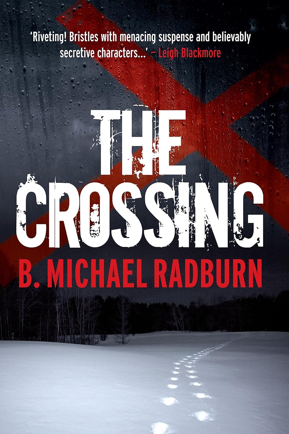 The Crossing - Kindle edition by Radburn, B. Michael. Mystery, Thriller ...