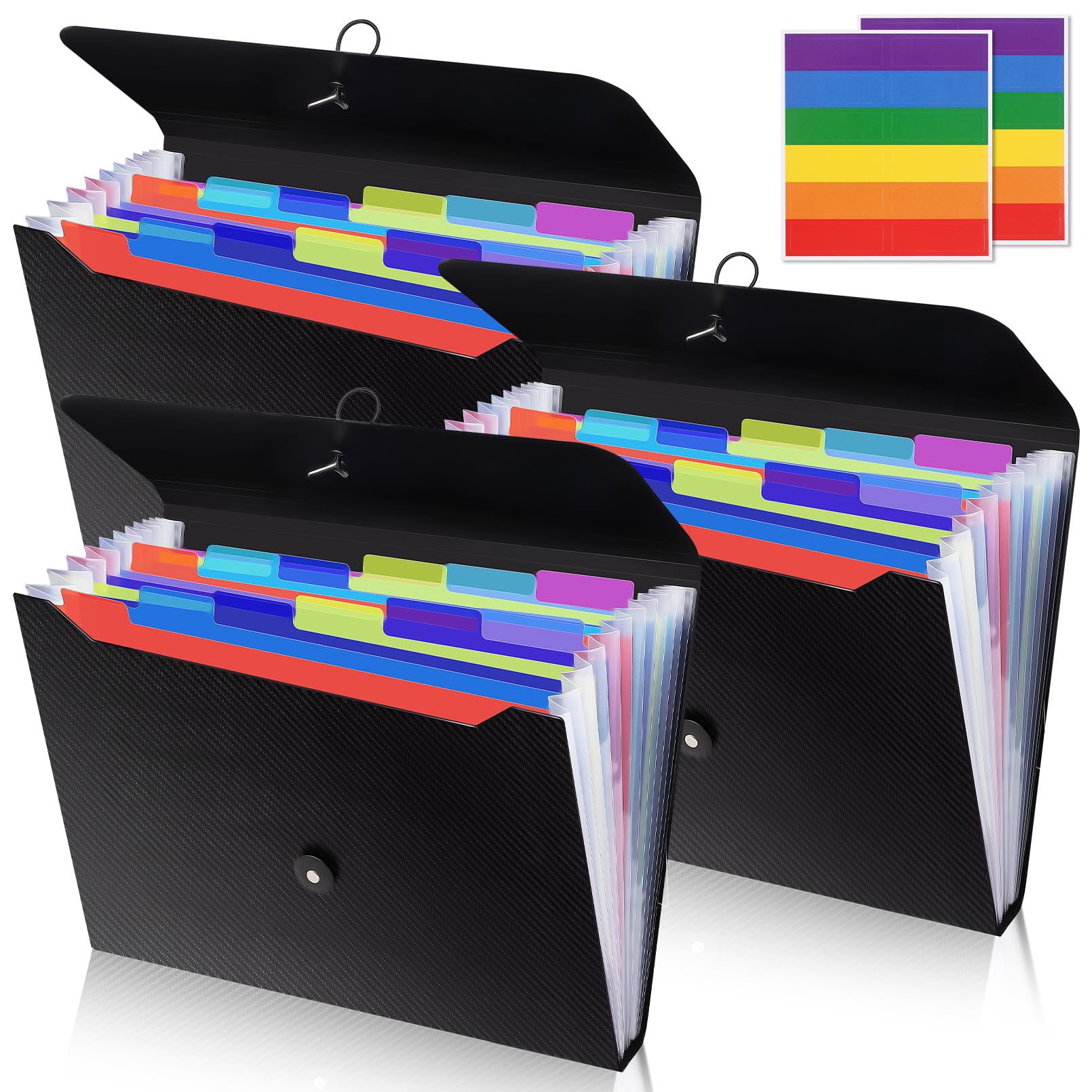 Snapklik.com : Dyrfolm 3 Pcs Accordion Folder 13 Pocket Expanding File ...