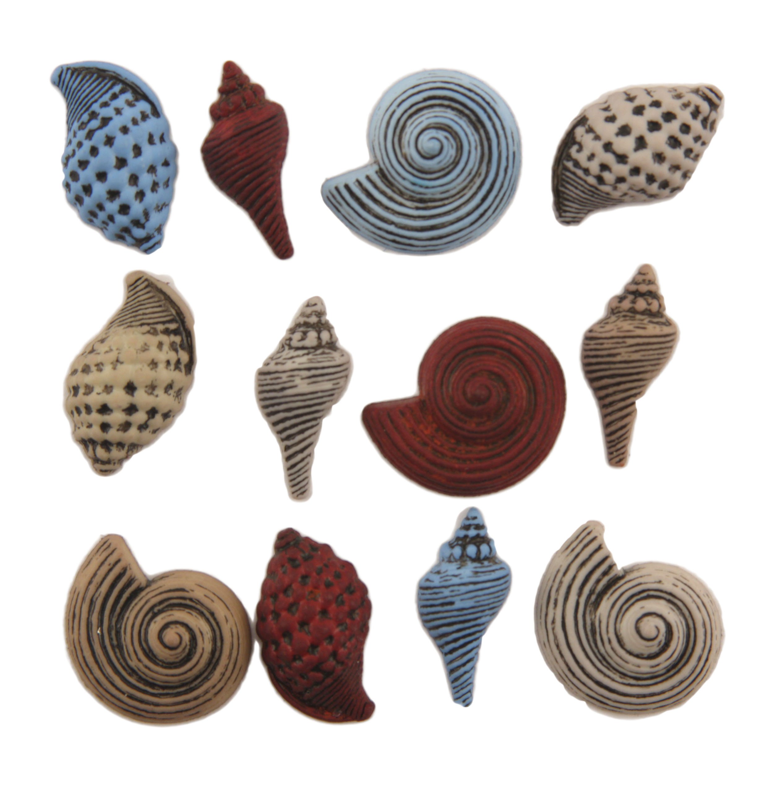 Amazon.com: Buttons Galore Craft & Sewing Buttons - Seashells - 3 Pack