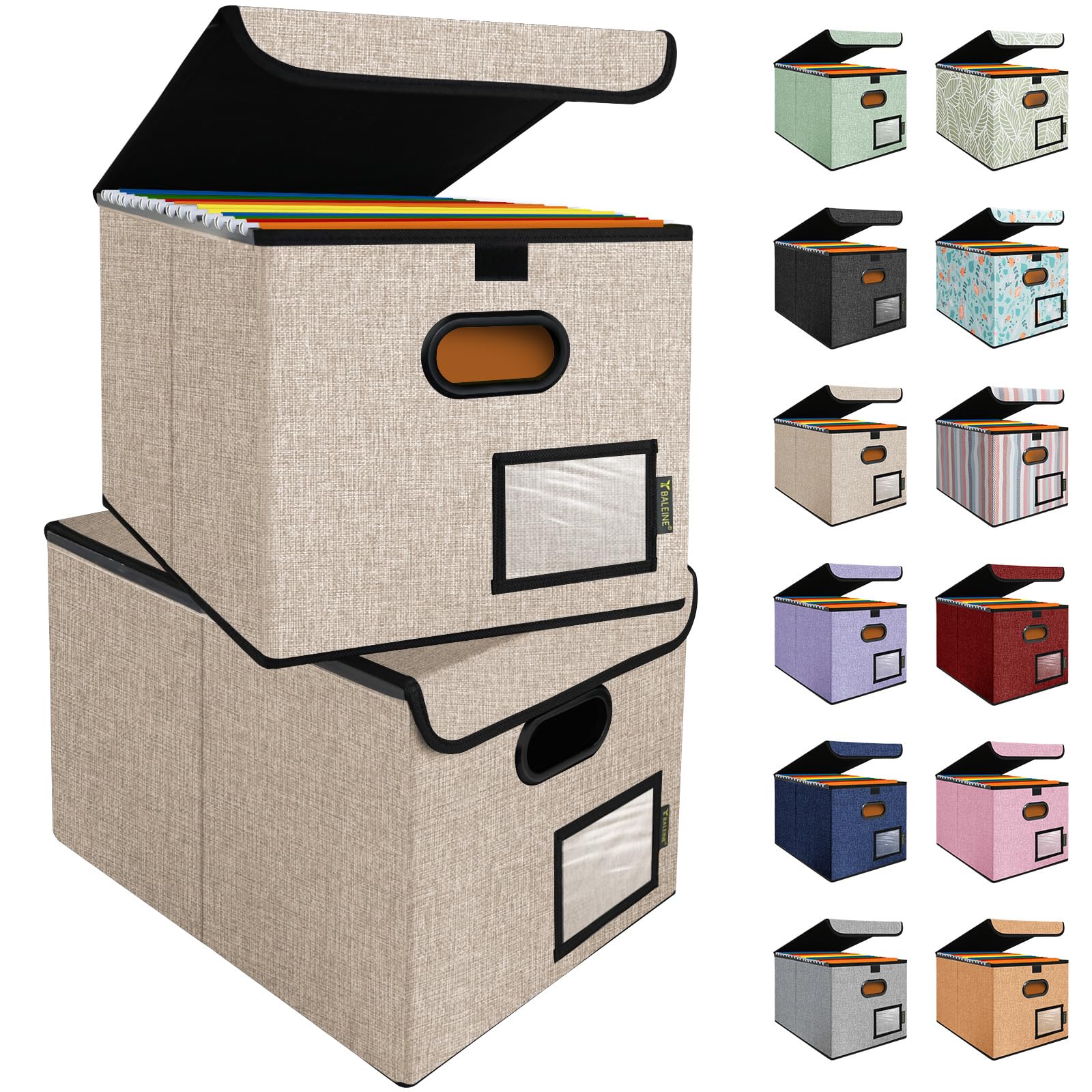 Amazon.com: BALEINE File Organizer Box with Lid, Collapsible File ...