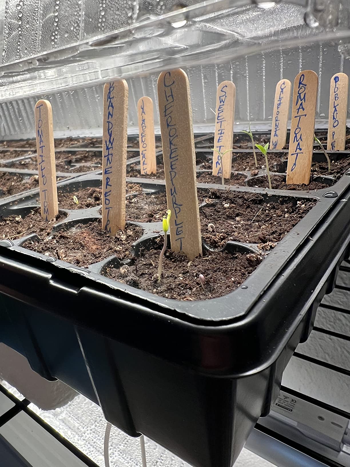 $8/mo - Finance Espoma Organic Seed Starter Premium Potting Soil Mix ...