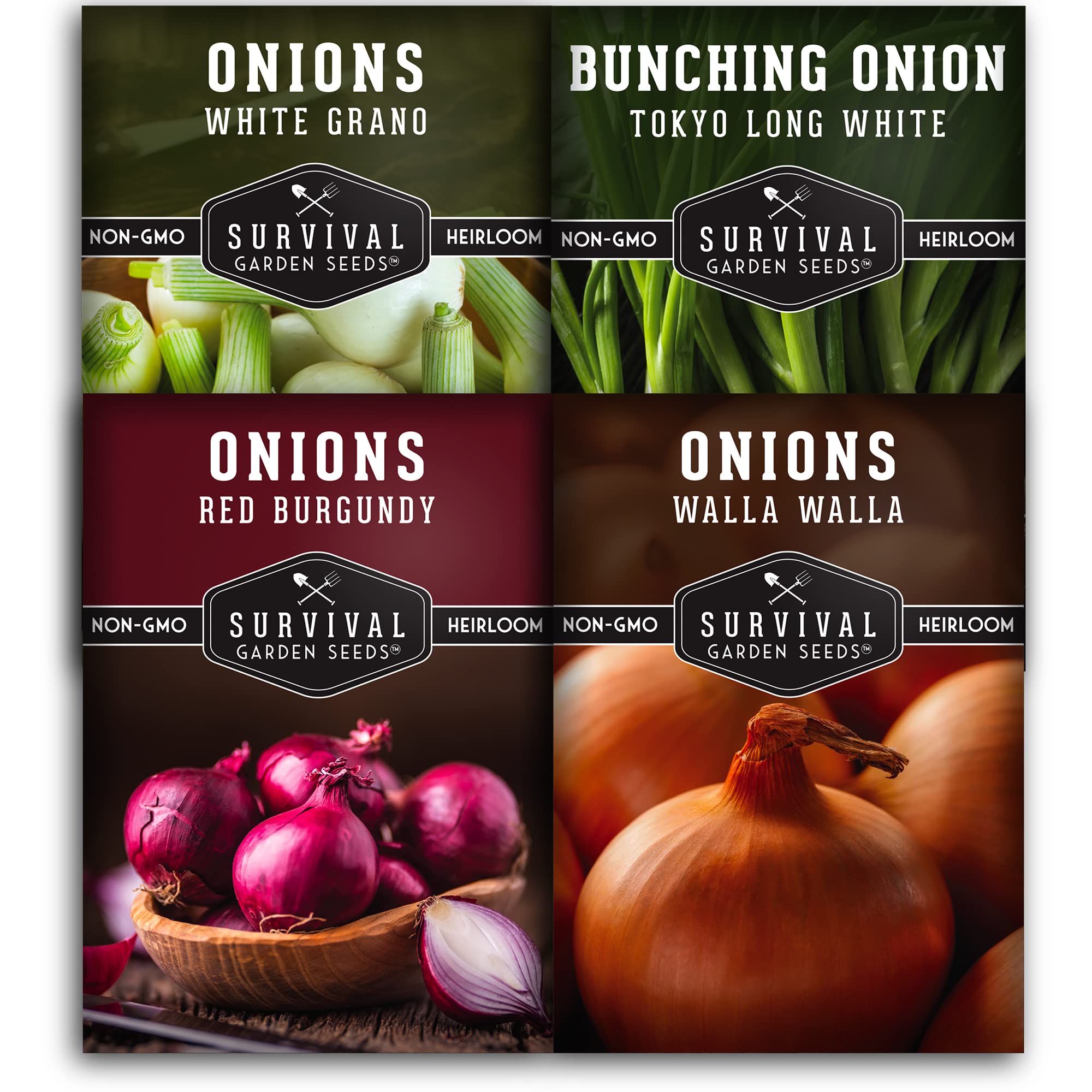 Amazon.com : Onion Seed Collection for Planting - 4 Packets to Plant ...