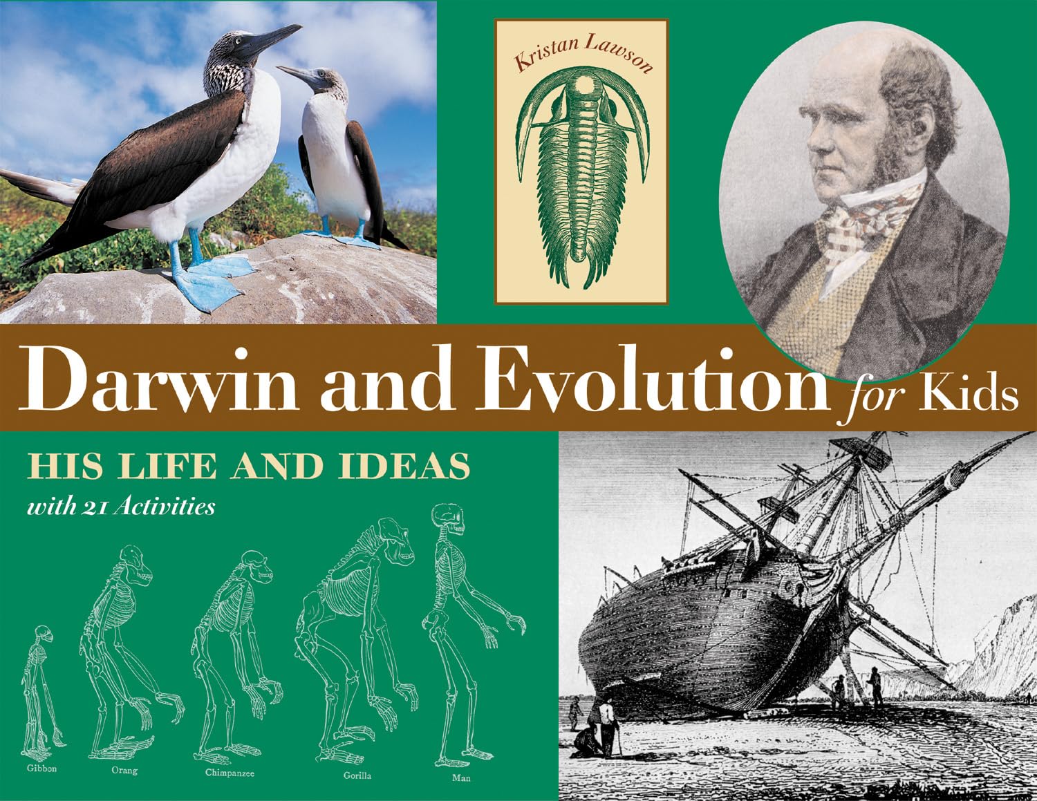 Amazon.com: Darwin and Evolution for Kids: His Life and Ideas with 21 ...