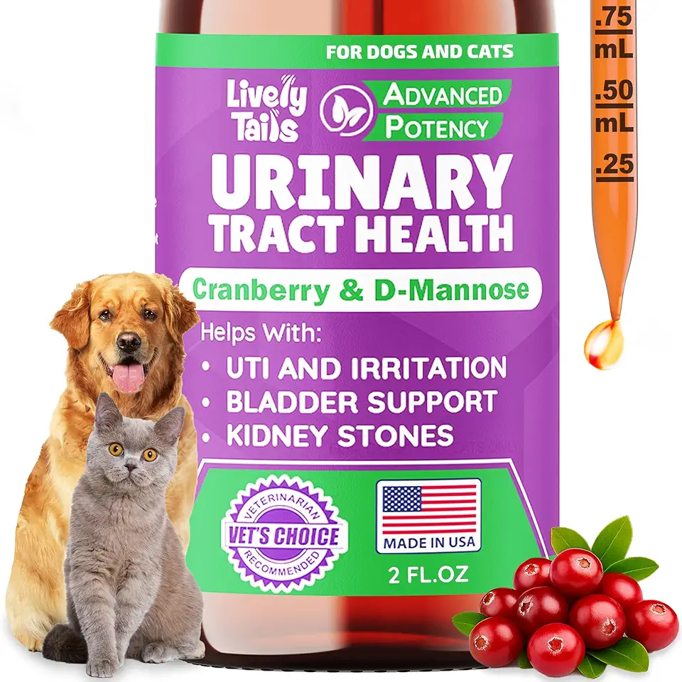 Can A Cat Uti Resolve Itself Without Treatment? | PetShun