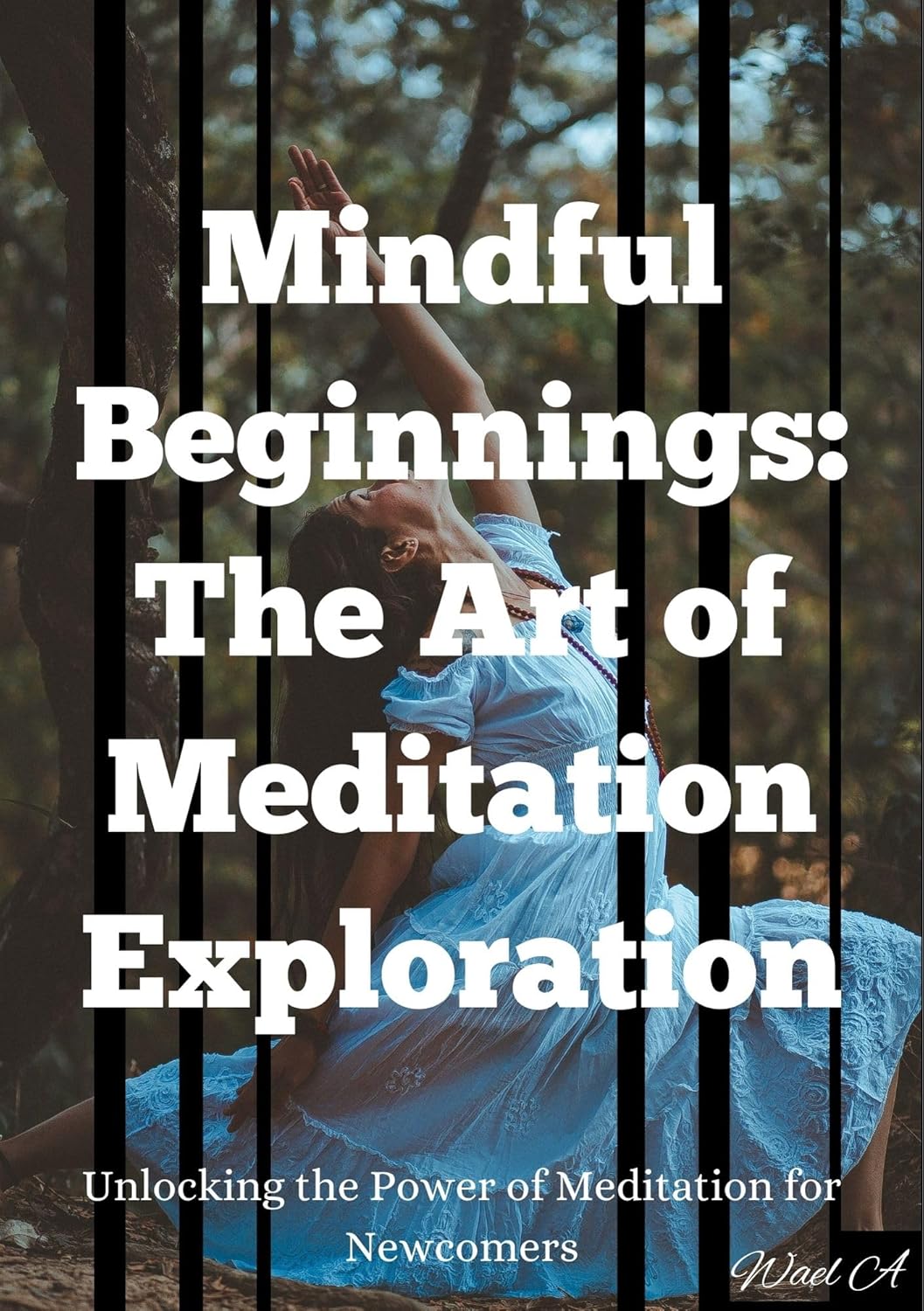 Amazon.com: Mindful Beginnings: The Art of Meditation Exploration eBook ...
