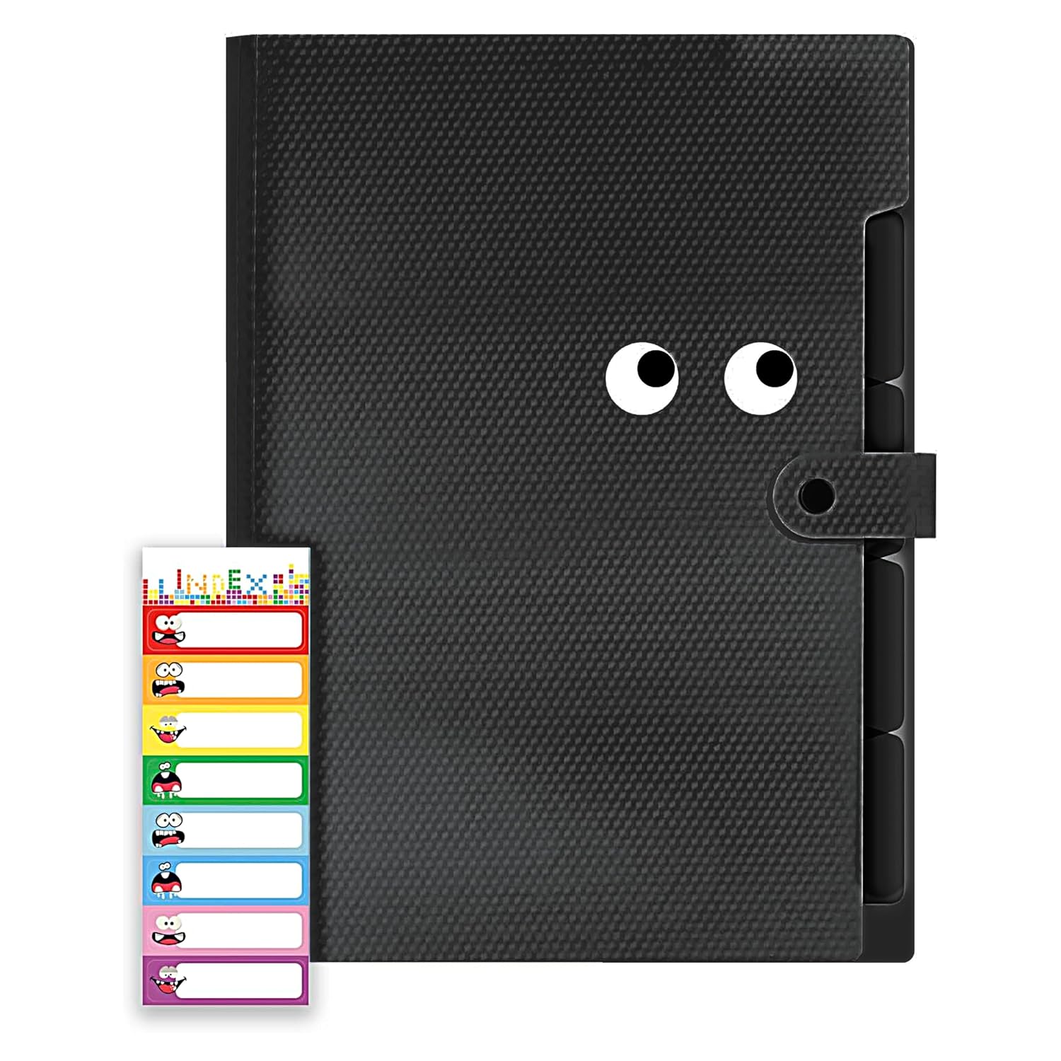 NISUN 5 Pocket Expanding File Folder with Fun Sticky Labels, Letter ...
