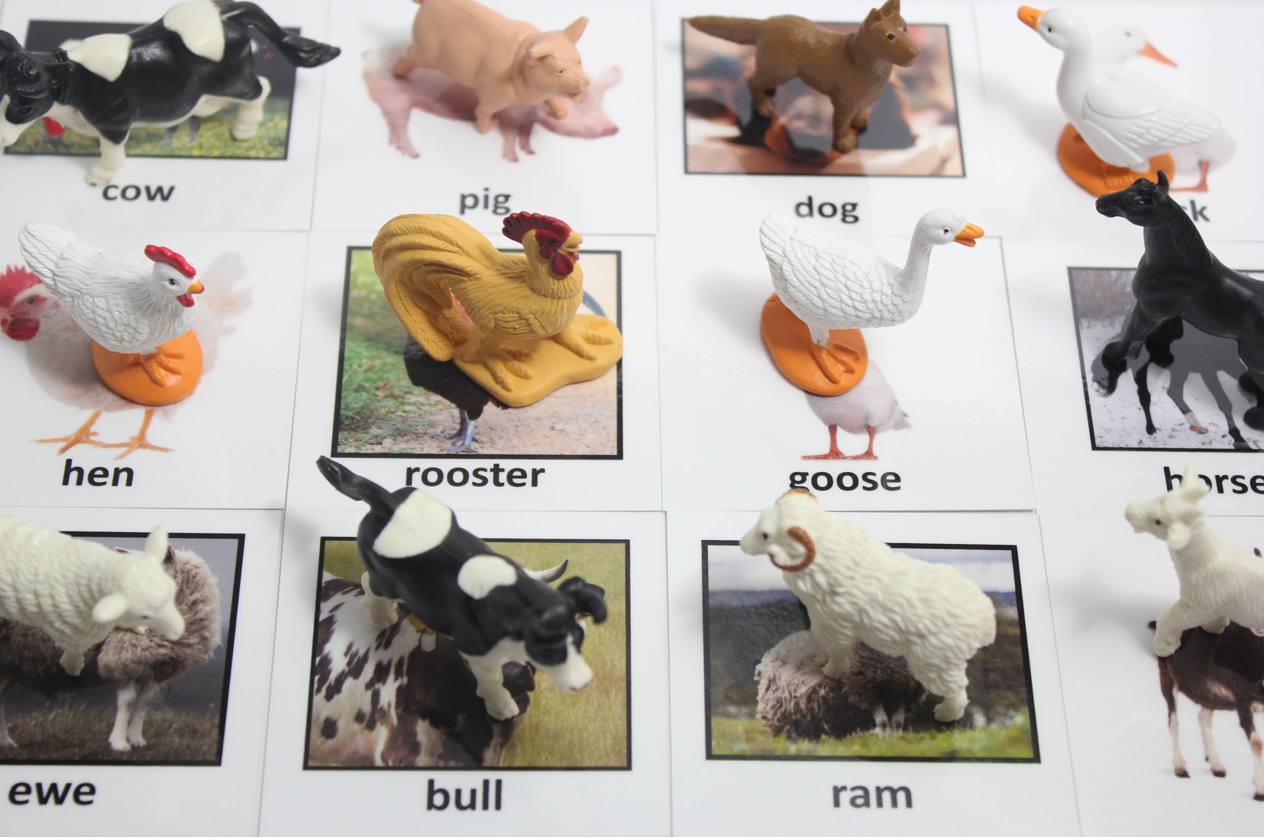 Montessori Animal Match - Miniature Farm Animal Toy Figurines with ...