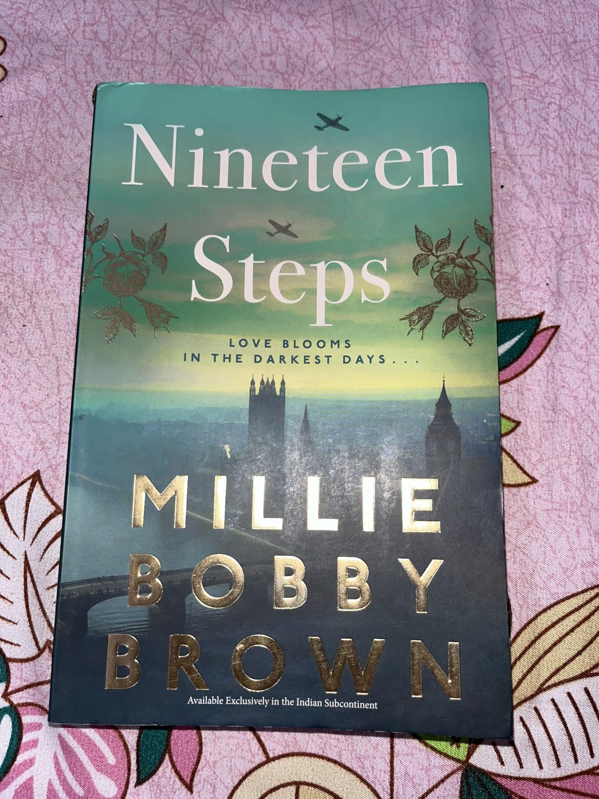 Buy Nineteen Steps: The debut novel inspired by the true events of her ...