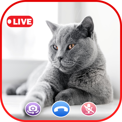 Talking Cat Simulator Call Video Prank Call Apps - App on Amazon Appstore