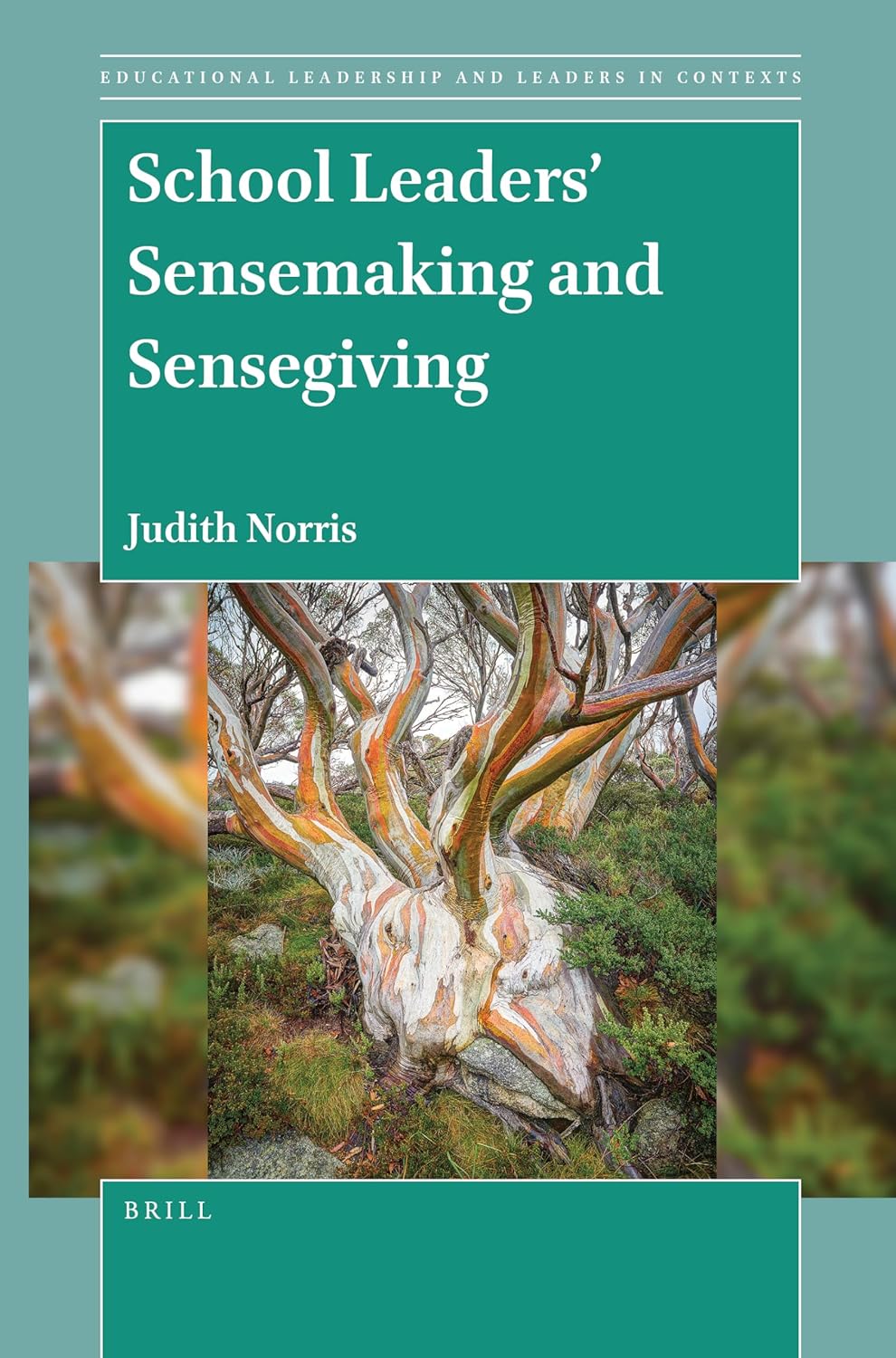 School Leaders’ Sensemaking and Sensegiving (Educational Leadership and ...
