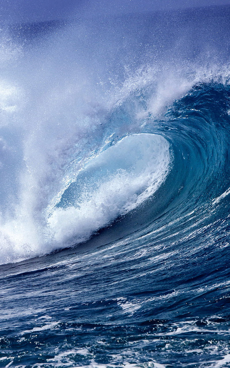 Live Marine Wallpapers