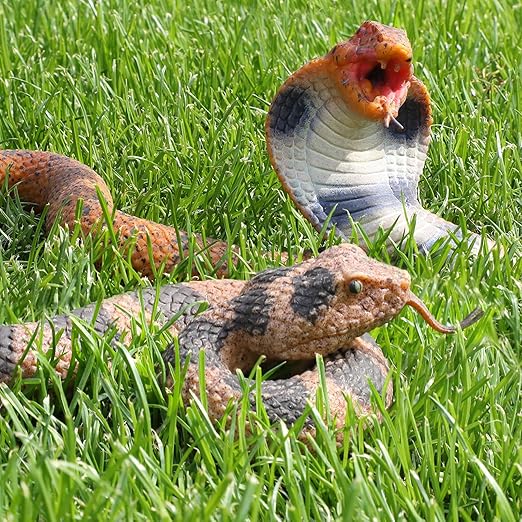 Amazon.com: Alphatool 2Pcs Rubber Fake Snakes Realistic Keep Birds Away ...