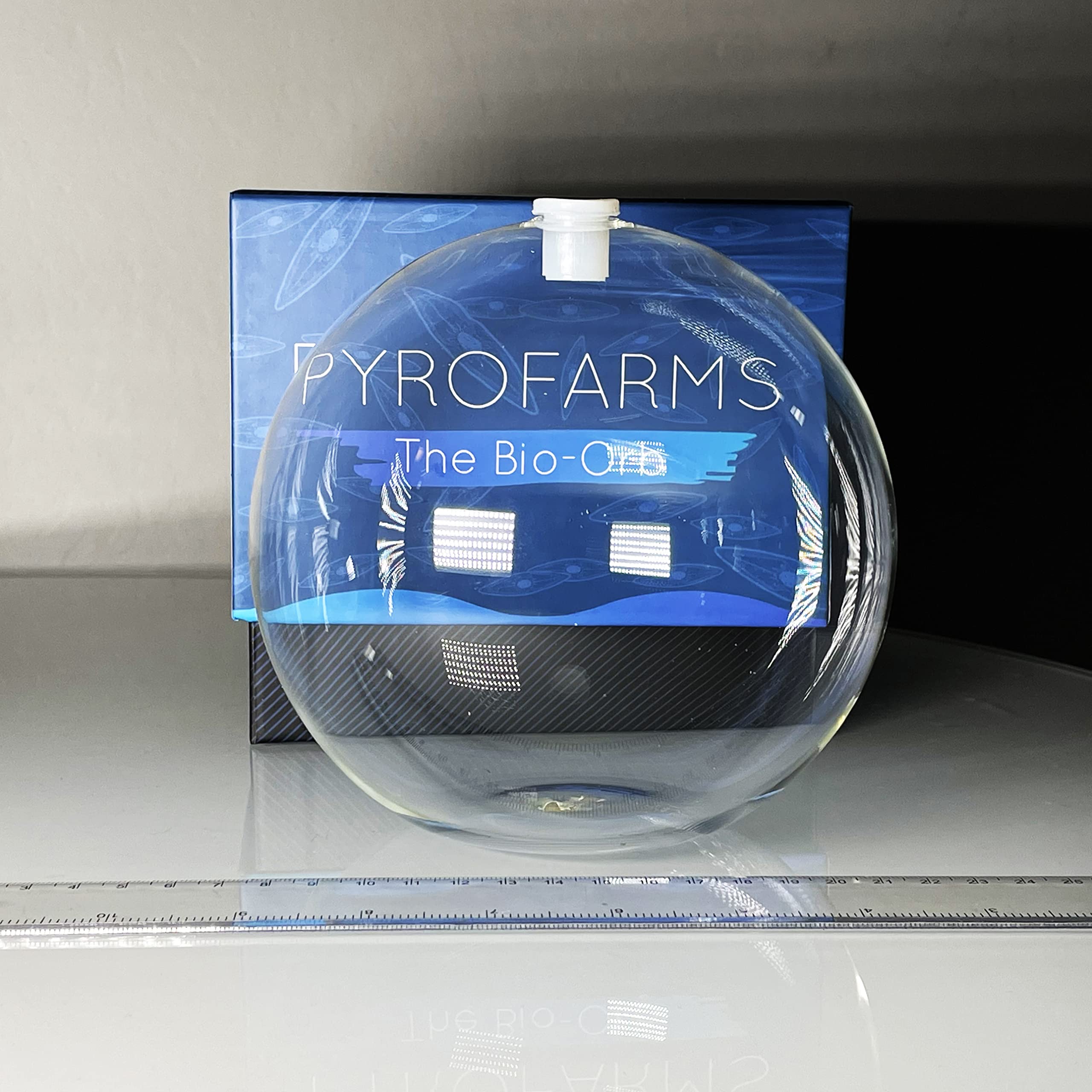 Amazon.com: Glass Sphere Orb 10cm Vase with Flat Bottom for Liquid ...