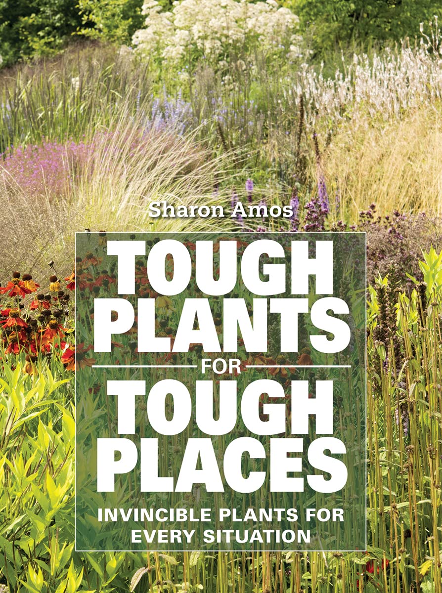 Tough Plants for Tough Places: Invincible Plants for Every Situation ...