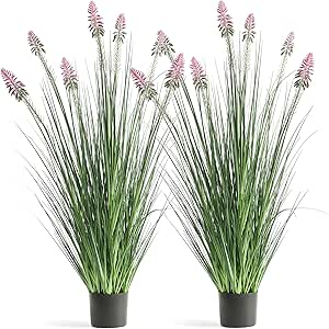 Amazon.com: FloraFairy 4ft 2-Pack Horsetail Reed Grass with Purple ...