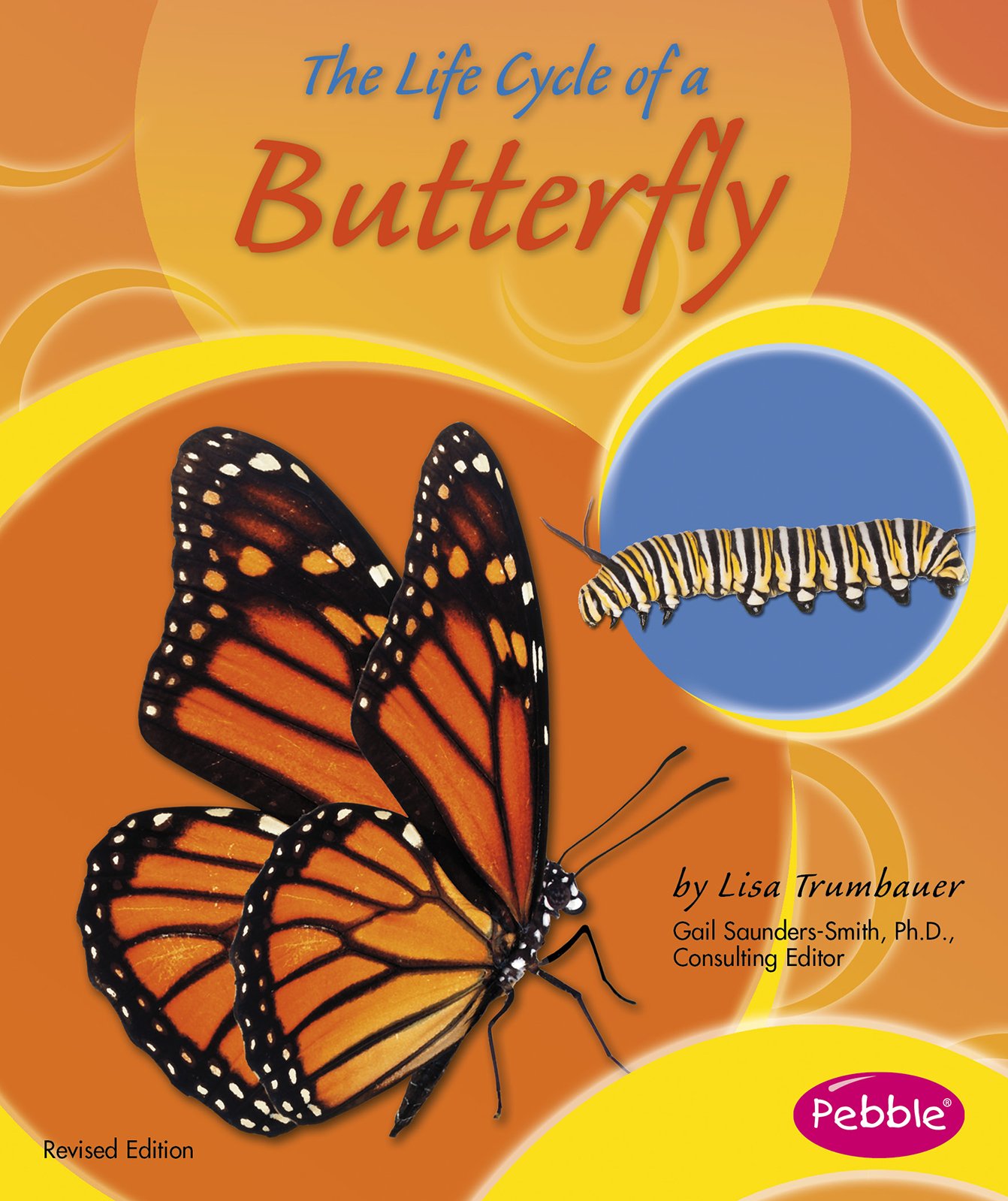 The Life Cycle of a Butterfly (Life Cycles): Trumbauer, Lisa ...