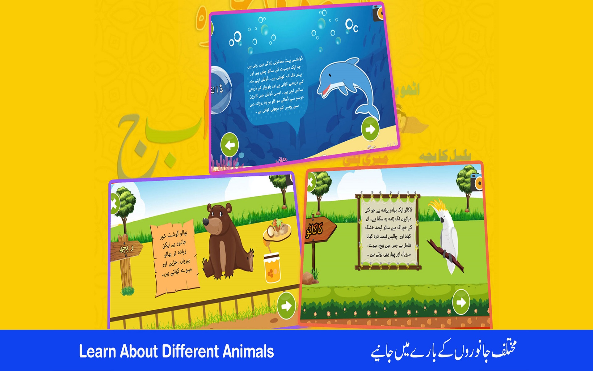 Learn Urdu Qaida Language App - Urdu Phonics Games - App on the Amazon ...