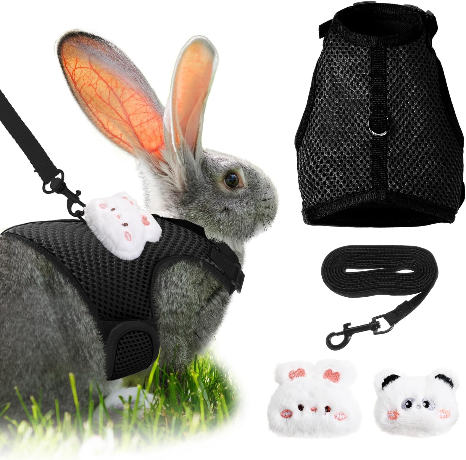 Amazon.com : Bunnycool Rabbit Harness and Leash Set with 2 Cute ...