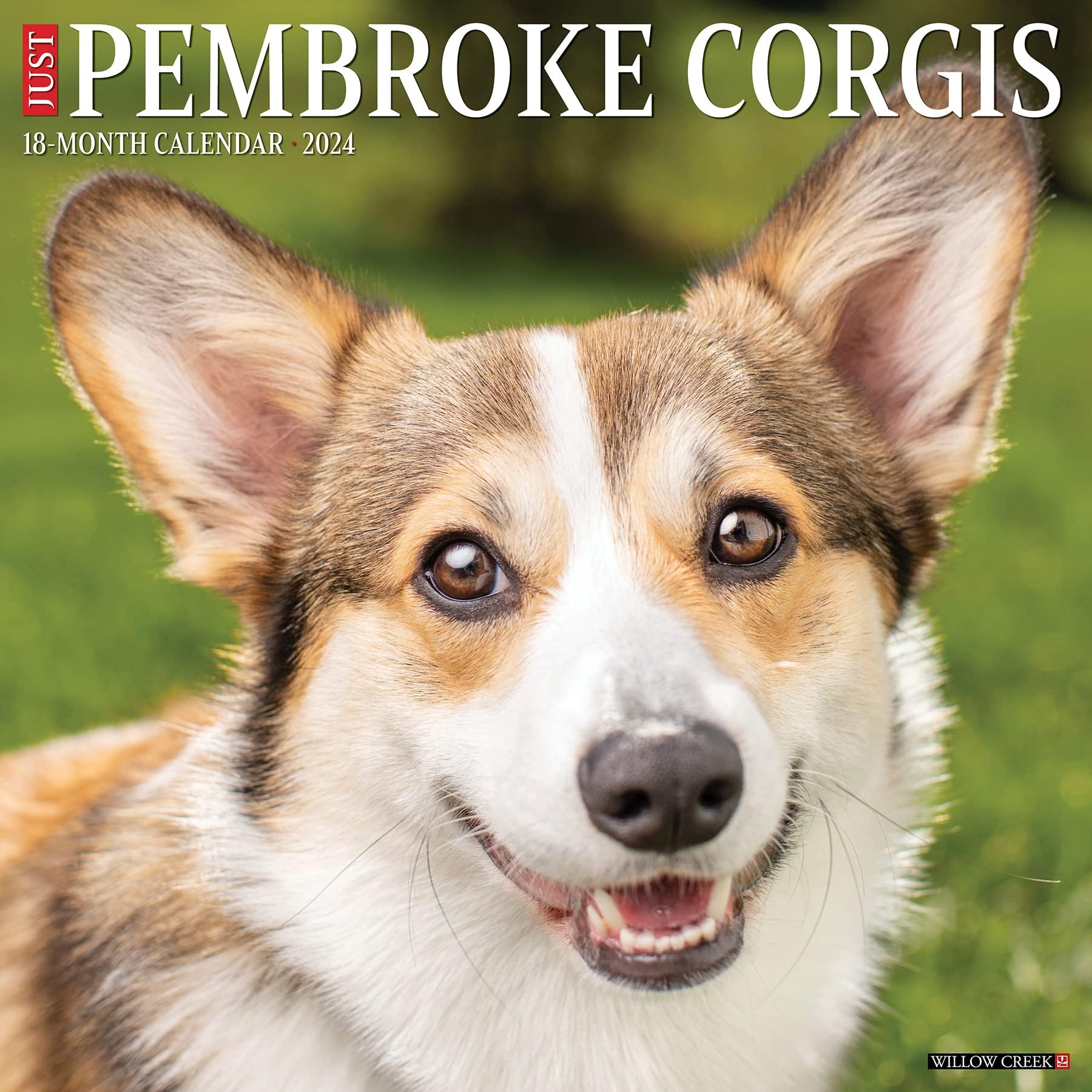 Amazon.com: Just Corgi Puppies 2024 Calendar : Willow Creek Press ...