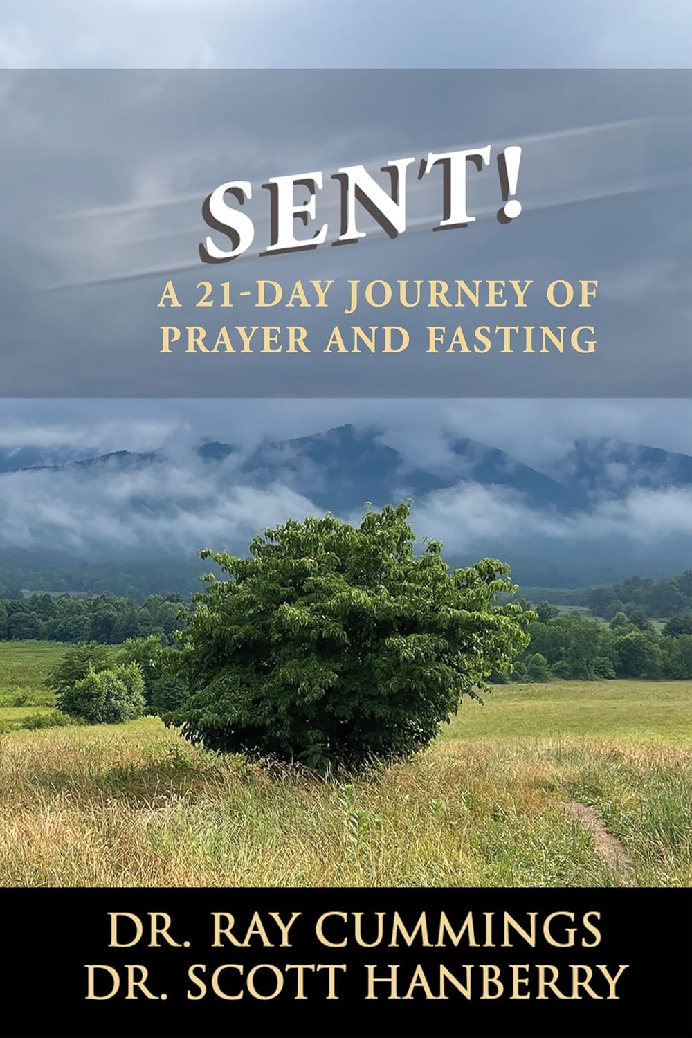 SENT: A 21-Day Journey of Prayer and Fasting (41 Days) eBook : Cummings ...