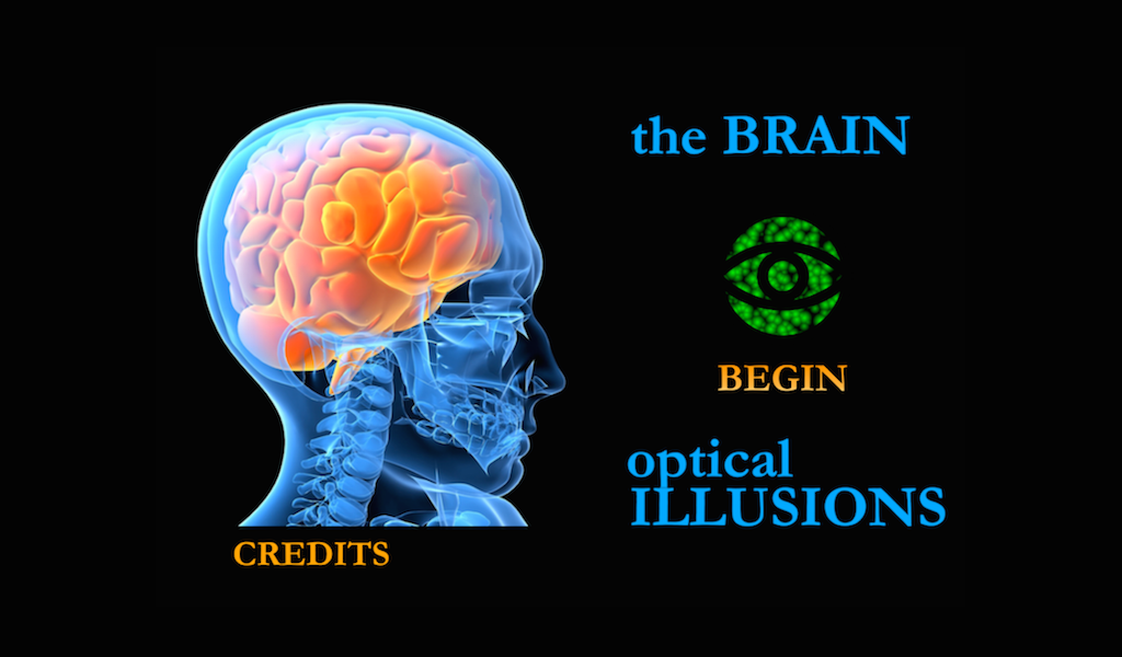 The Brain Optical Illusions Gallery FREE - App on Amazon Appstore
