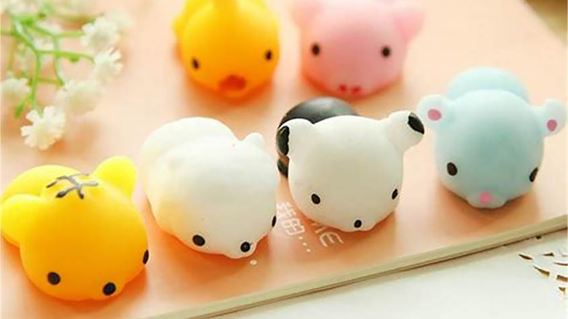 So Cute, So Squishy!