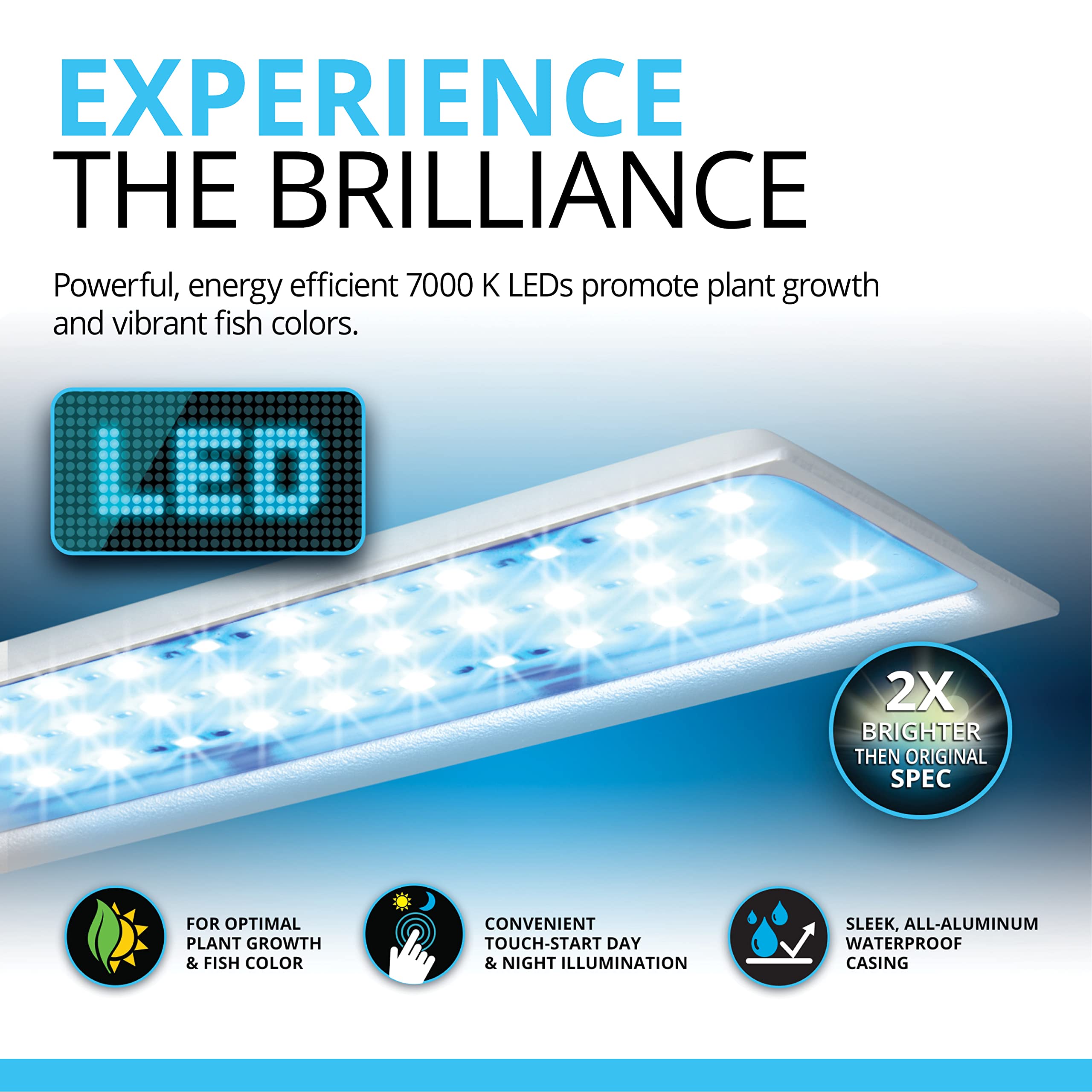 Snapklik.com : Fluval SPEC III Aquarium Kit, Aquarium