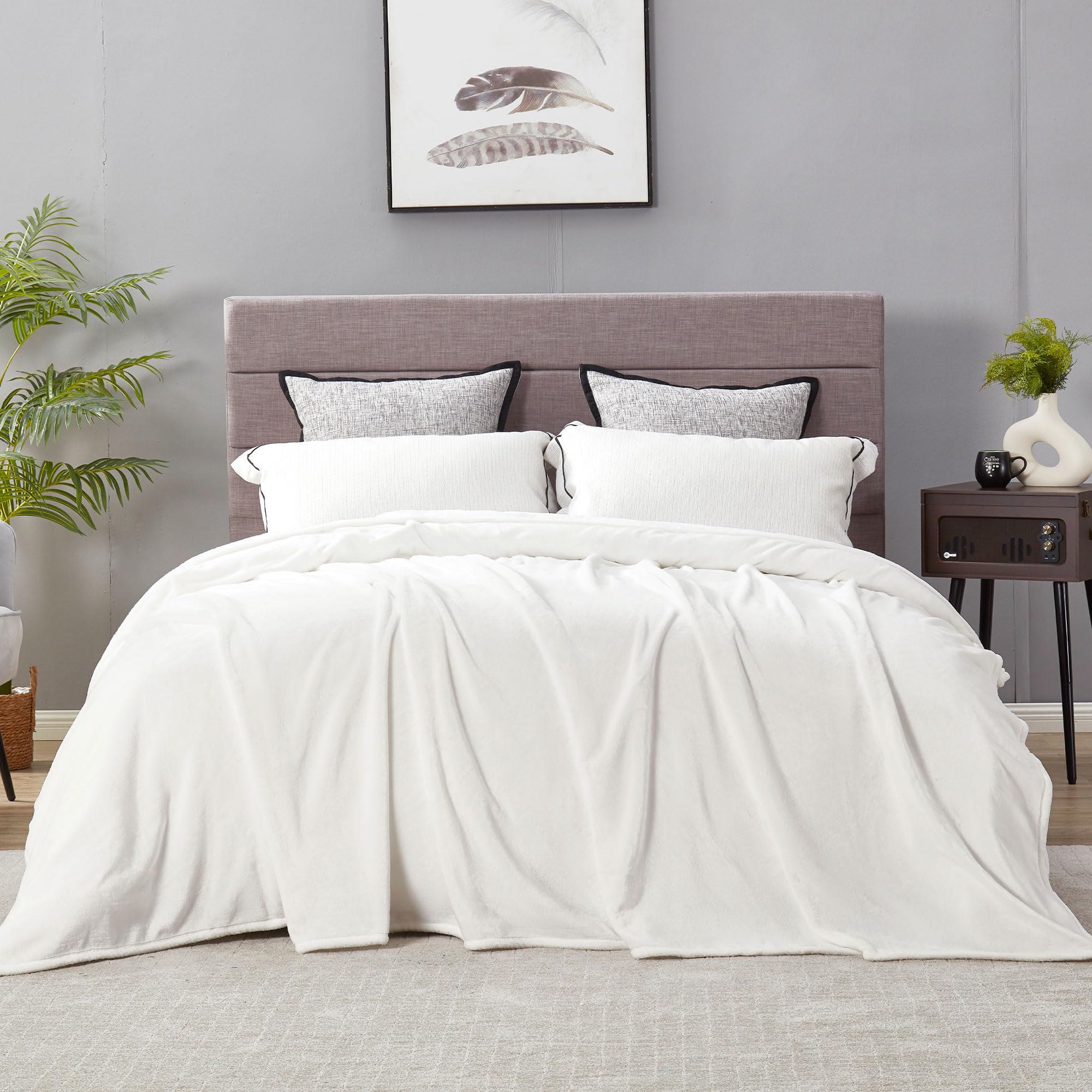 DREAMNINE Large Solid Plush Fuzzy Fleece Queen Size Blanket for Bed 90 ...