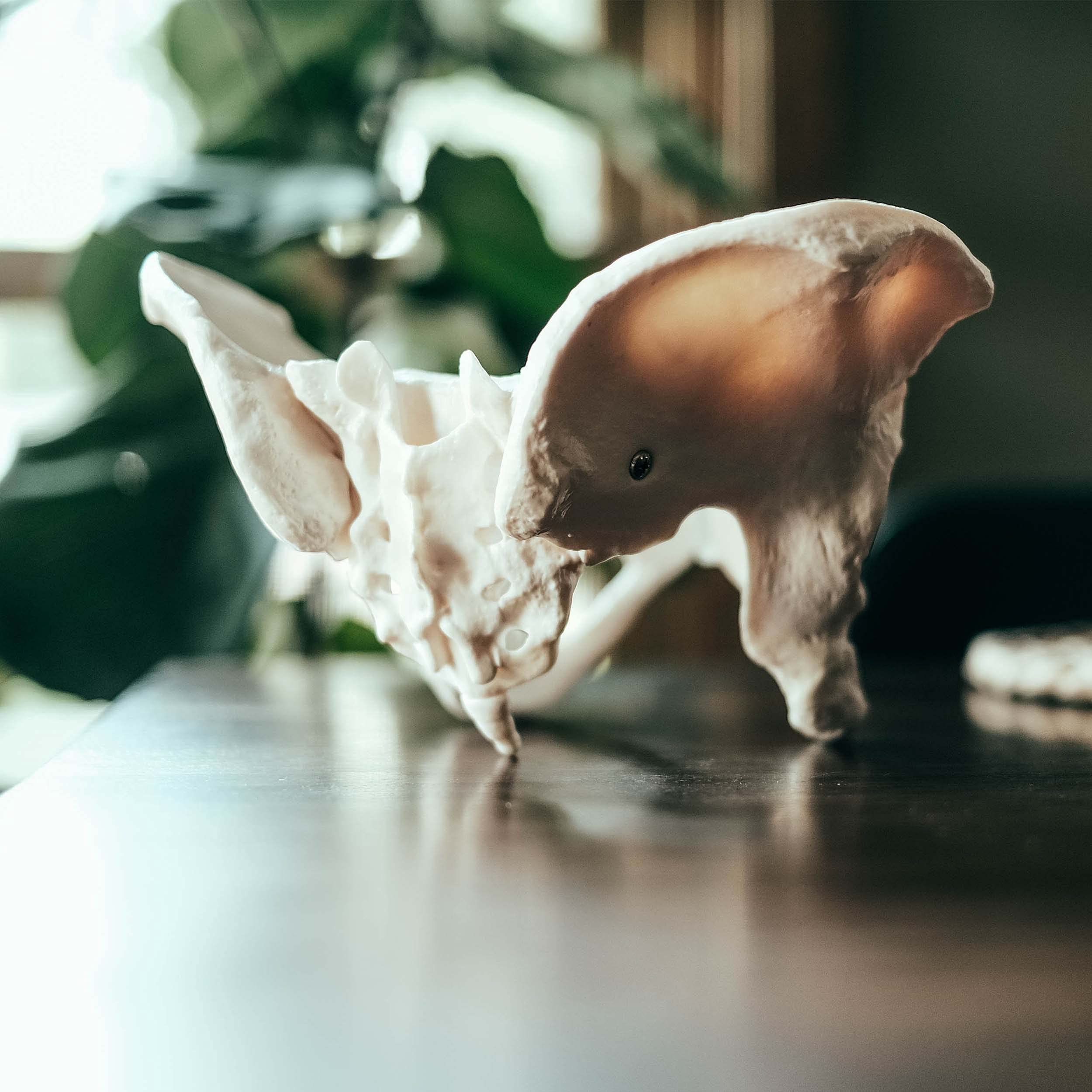 Buy MonMed Life Size Female Pelvis Model, Hip Model – Female Anatomy ...