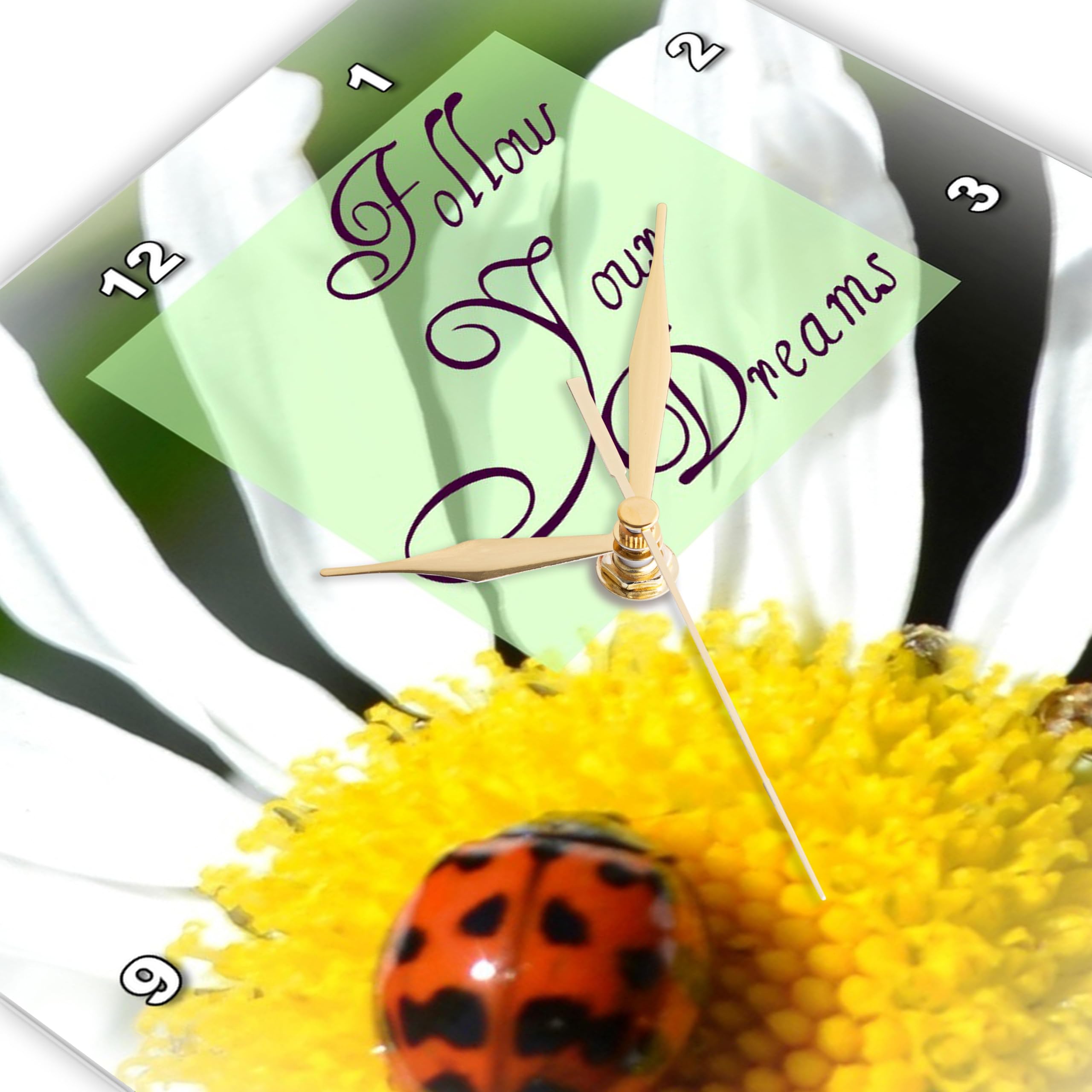 Ladybug Motivational Quotes