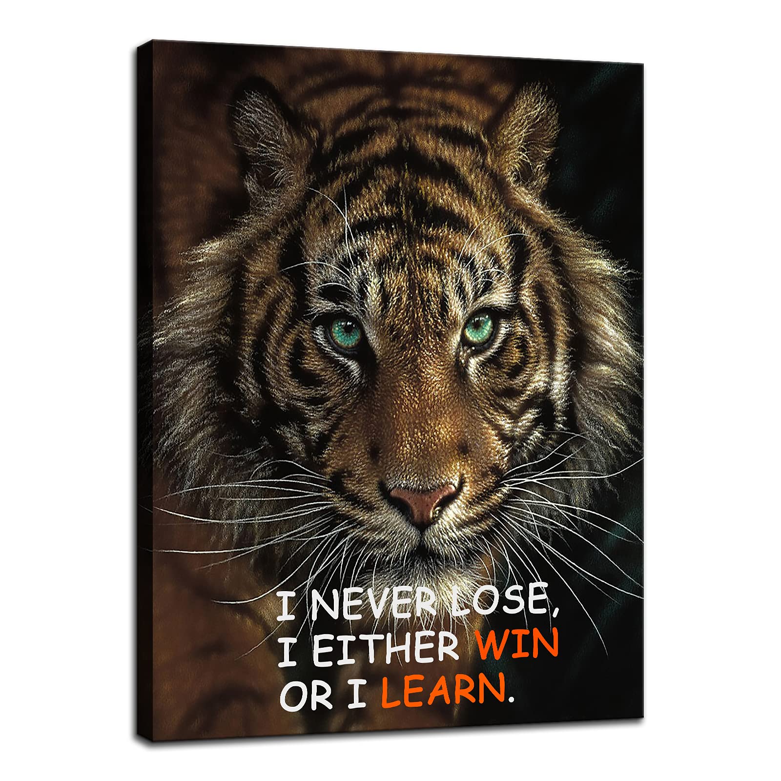 Meaningful Tiger Quotes Motivation Quotes Tigers | TikTok