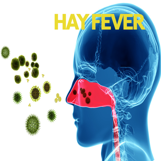 Hay Fever Allergy - App on Amazon Appstore