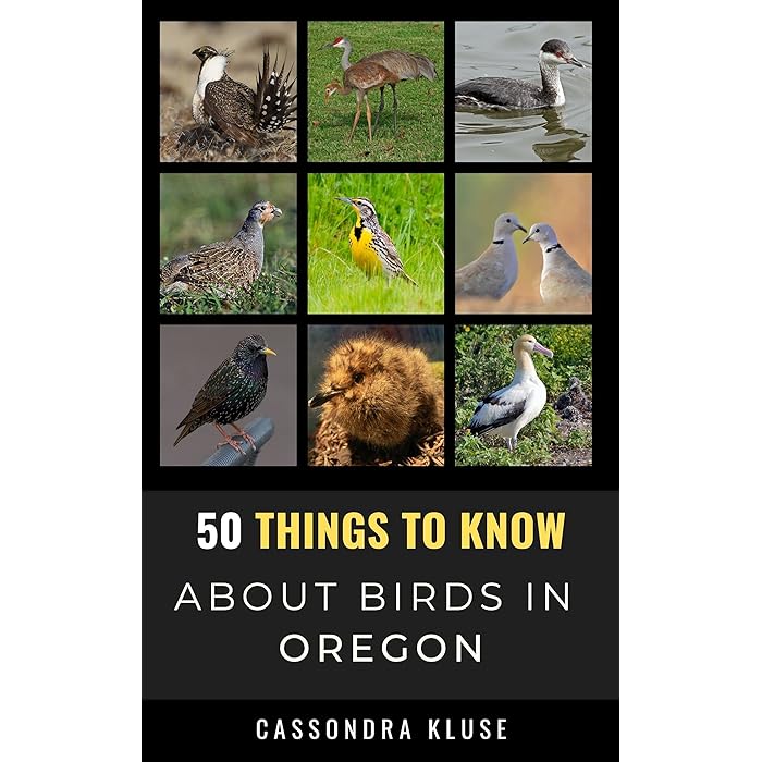 Buy 50 Things to Know About Birds in Oregon : Fun Facts About Birds of ...