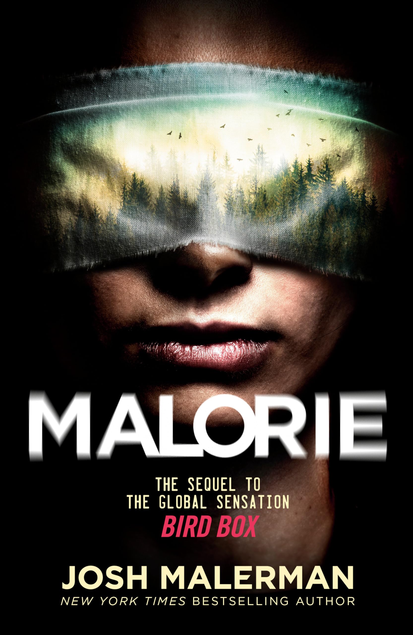 Malorie: A Bird Box Novel (Bird Box, 2): Malerman, Josh: 9780593156858 ...