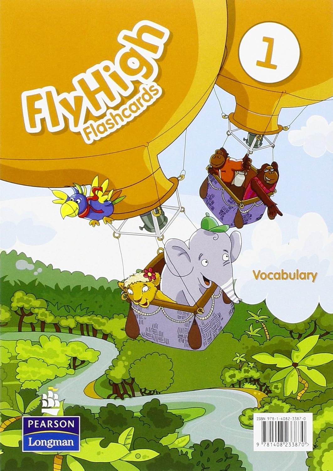 Fly High Level 1 Vocabulary Flashcards: Amazon.co.uk: 9781408233870: Books
