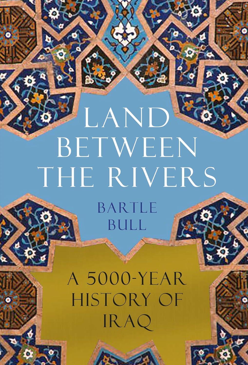 Amazon | Land Between the Rivers: A 5000-Year History of Iraq | Bull ...